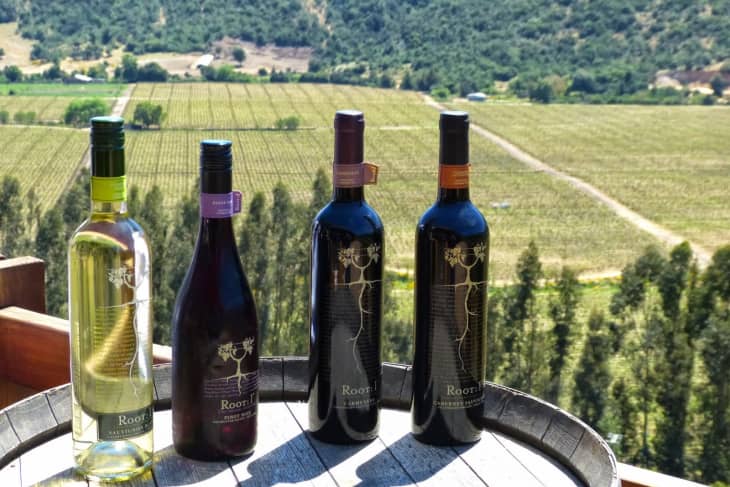 Root:1: Delicious Varietal Wines from Chile for Just $12 | The Kitchn