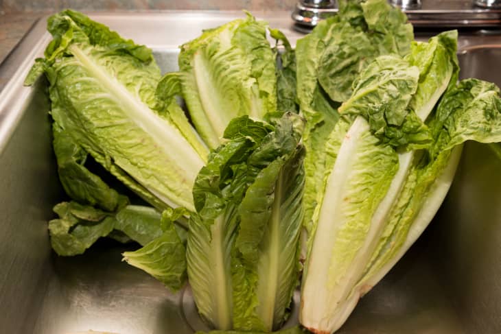 Cdc Fda Source Of E Coli Outbreak In Romaine Lettuce The Kitchn