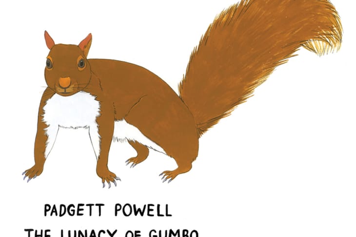 Author Padgett Powell Discovers Gumbo | The Kitchn