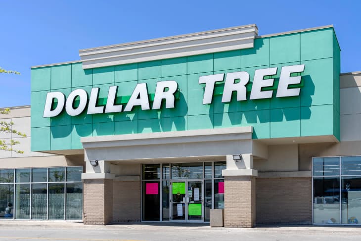 The "Gorgeous" $1 Dollar Tree Storage Find You Can Use Everywhere | The ...