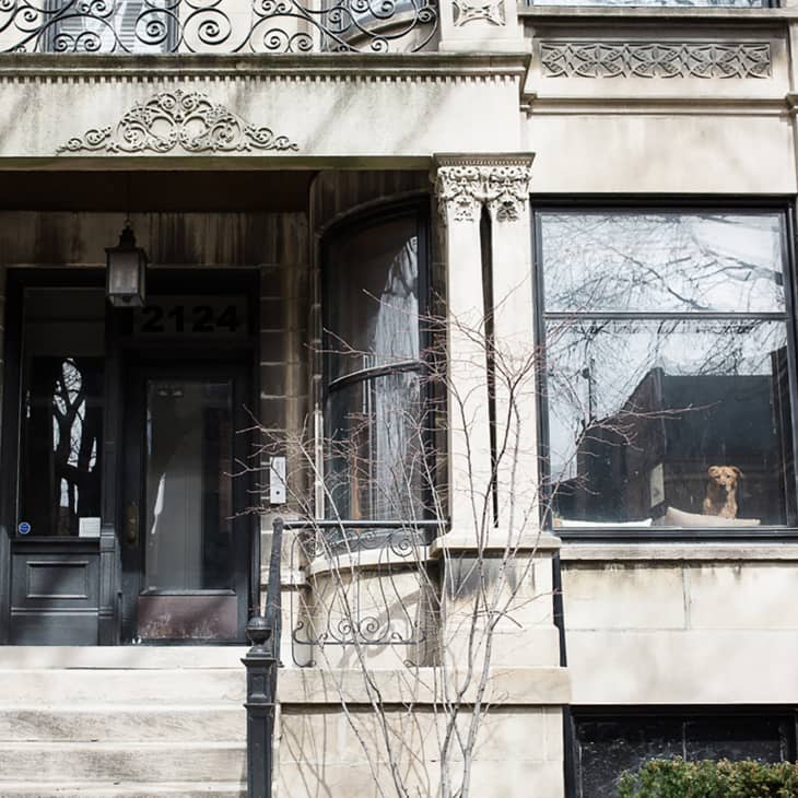 Architectural Millwork in a Chicago Greystone Apartment | Apartment Therapy