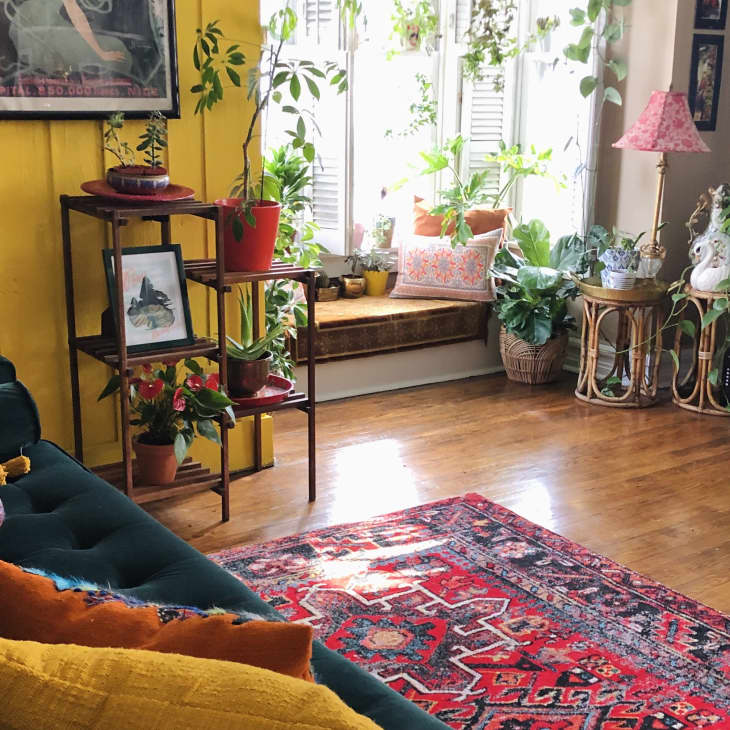 Plant Filled Rental Apartment Photos | Apartment Therapy