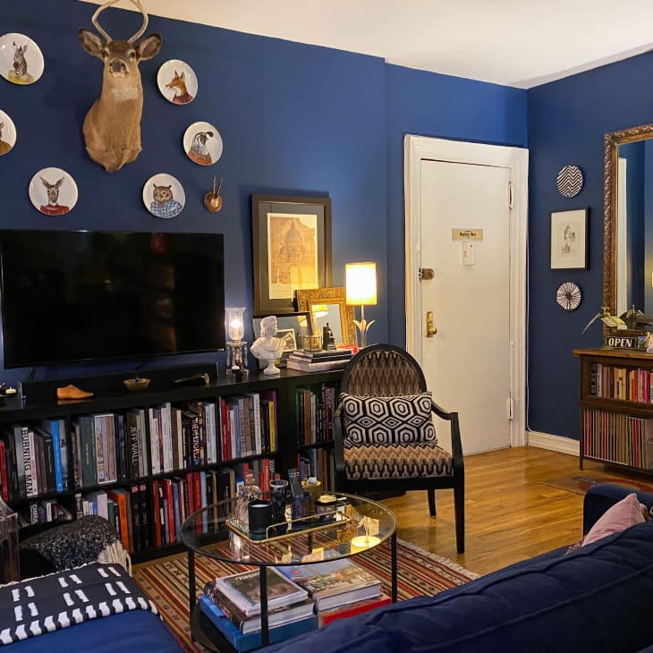 Dark Blue NYC Rental Apartment | Apartment Therapy