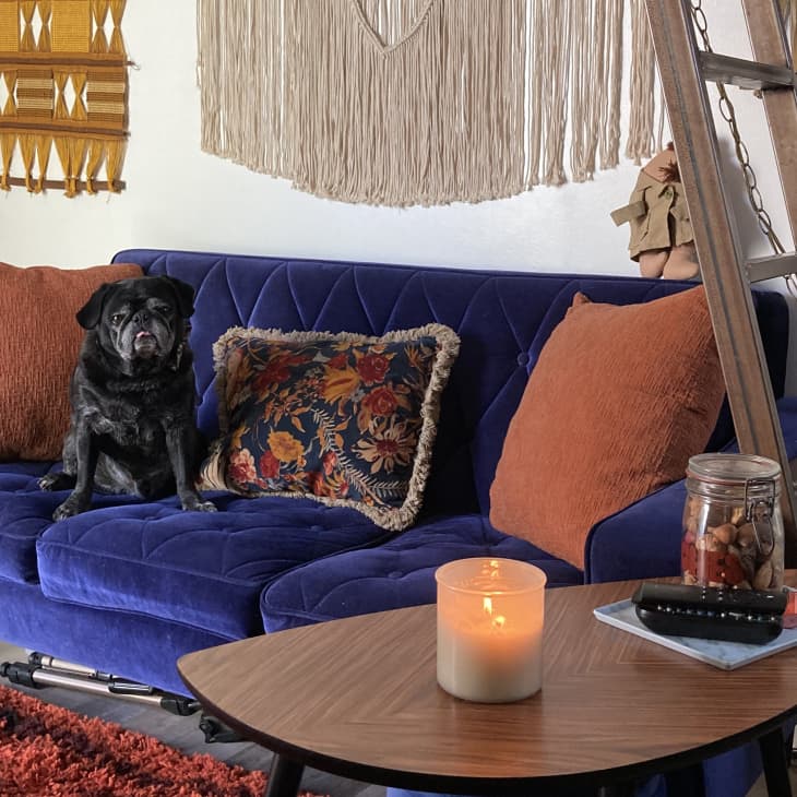 210-Square-Foot Tiny House Converted Garage Photos | Apartment Therapy