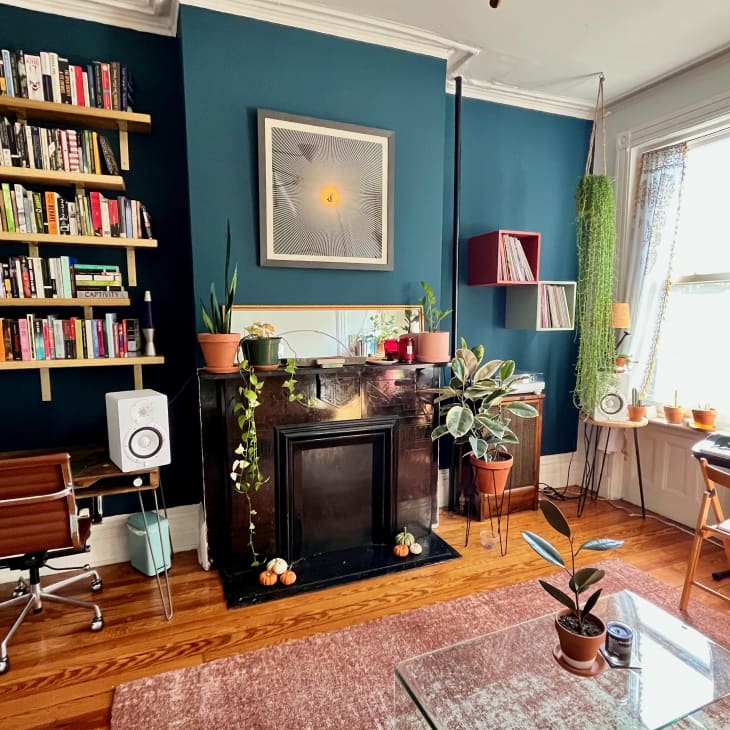 A 625-Square-Foot Brooklyn Rental Apartment Tour | Apartment Therapy