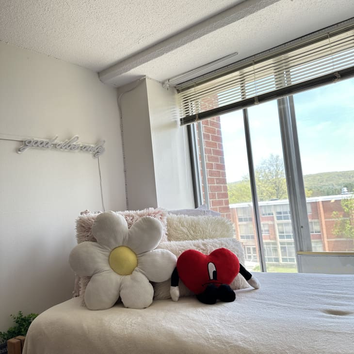 Tour This SUNY Oneonta RA's Organized Single Dorm Room | Dorm Therapy