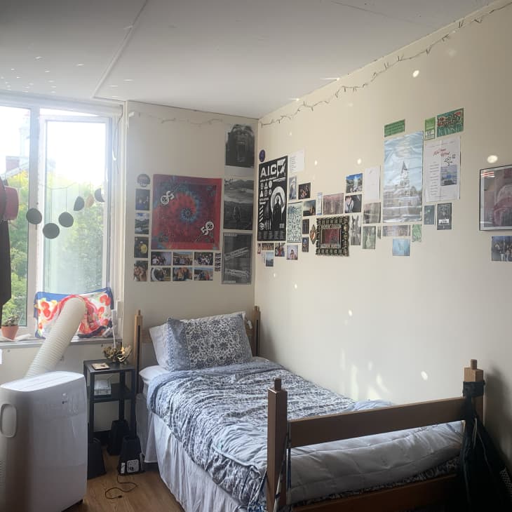 This Harvard Senior's Single Dorm Room is Full of Nostalgia | Dorm Therapy