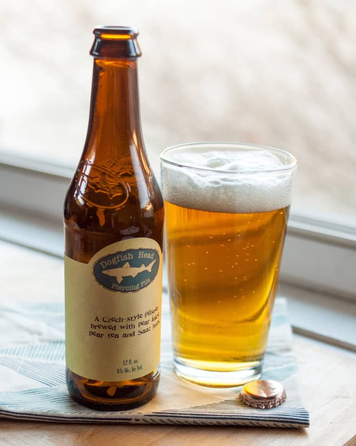 dogfish diary