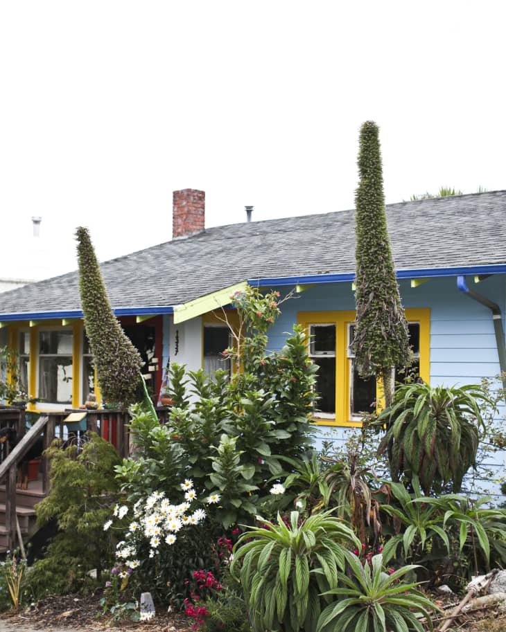 House Tour: A Casual California Homestead | Apartment Therapy