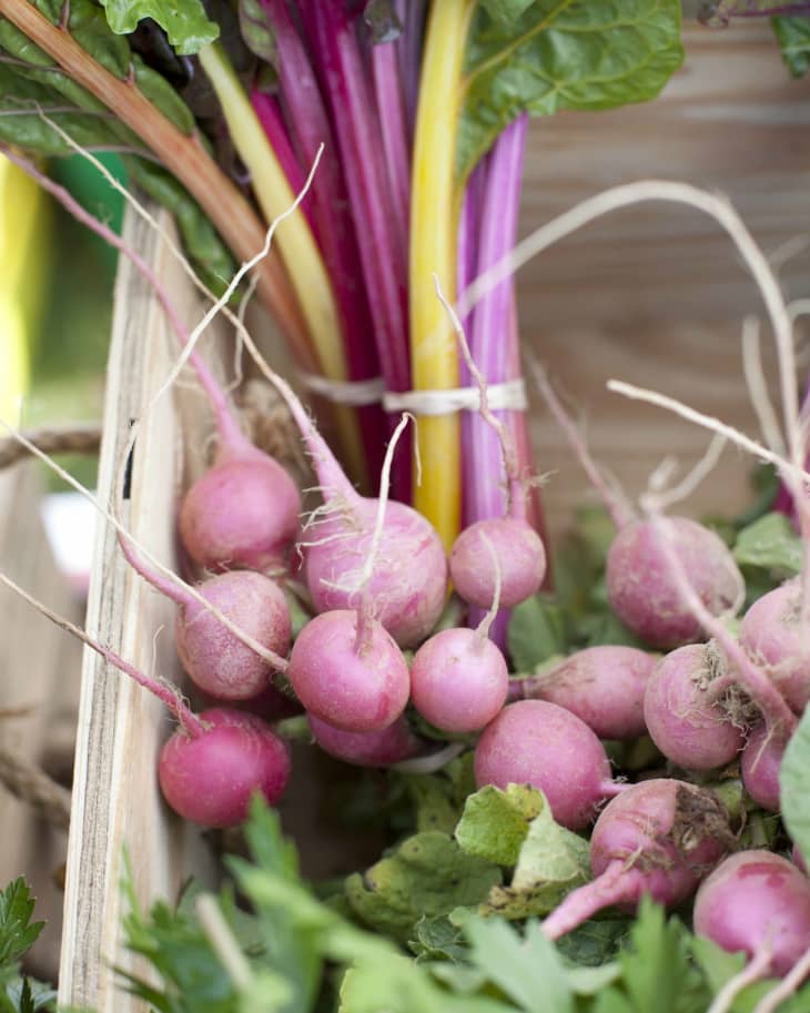 How Produce Gets from the Farm to a Farmers Market | The Kitchn