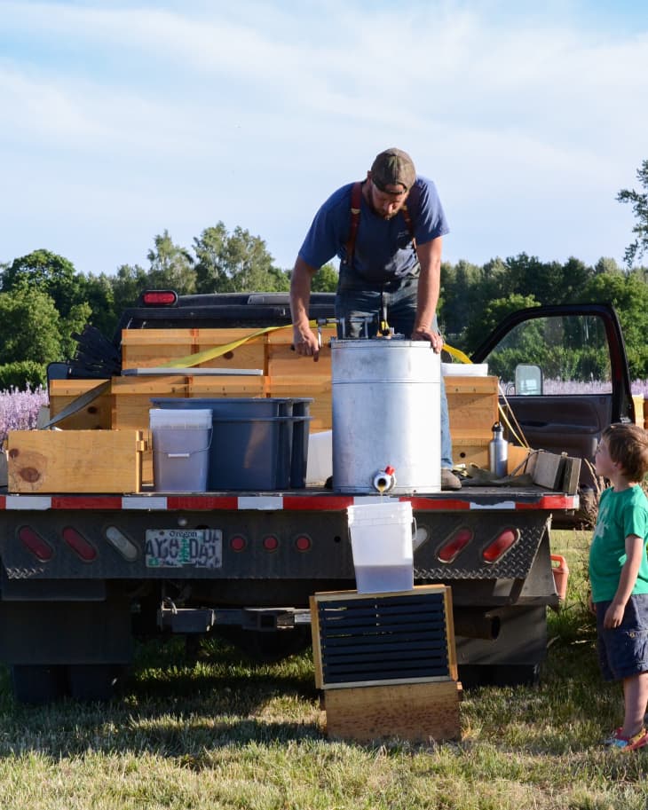 How a Migratory Beekeeper Harvests and Extracts Honey from His Fields ...