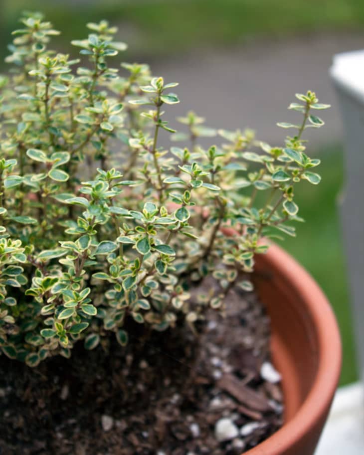 The 5 Best Pieces of Advice If You Want to Start a Small Container ...