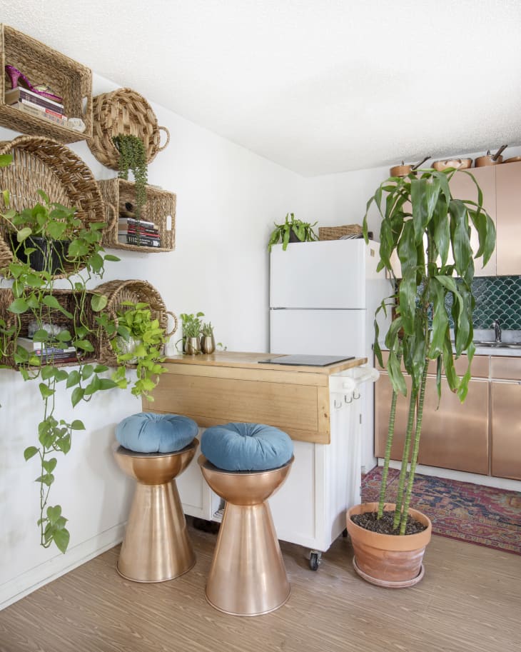 5 Easy Ways to Add Greenery to Your Kitchen Right Now | The Kitchn