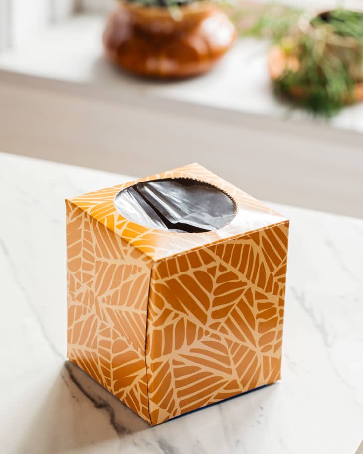 empty tissue box cardboard