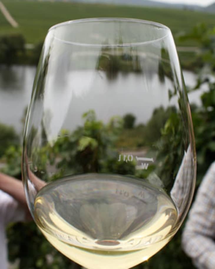 white wine primary fermentation