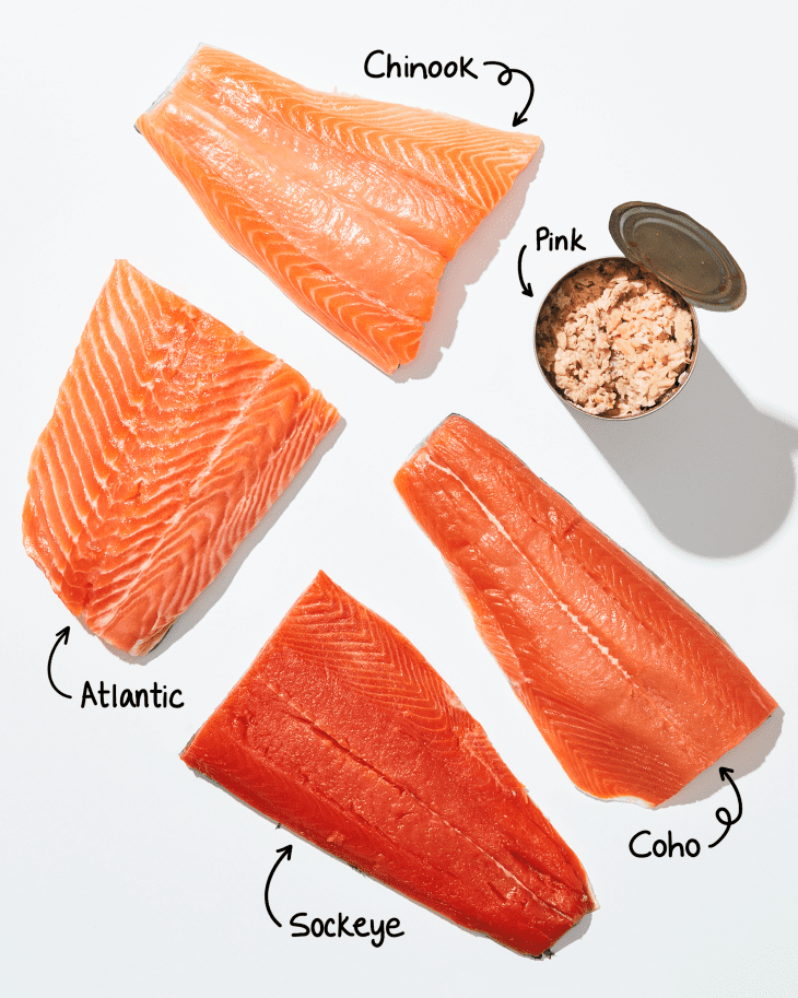 Types of Salmon: A Visual Guide to Wild and Farmed Salmon | The Kitchn