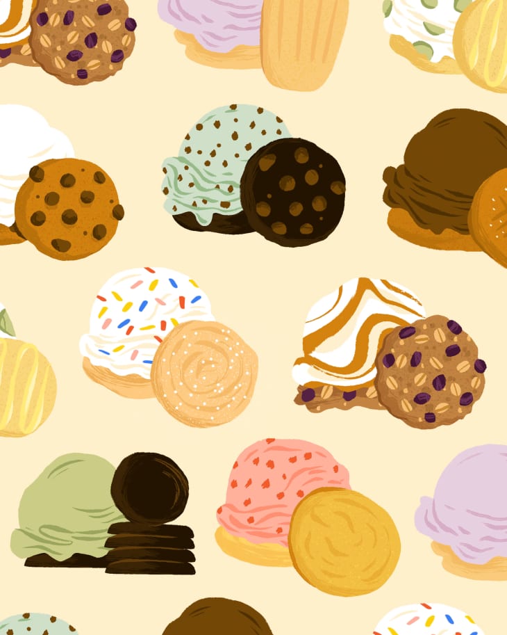The 10 Best Ice Cream and Cookie Pairings of All Time | The Kitchn