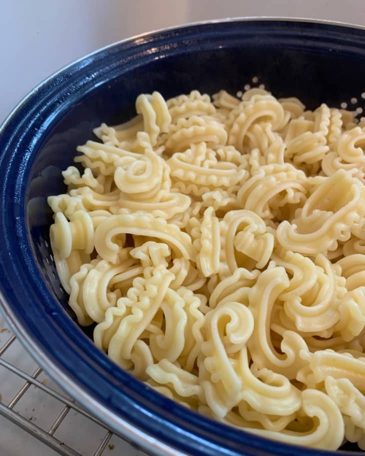 Sfoglini Cascatelli Pasta Review | The Kitchn