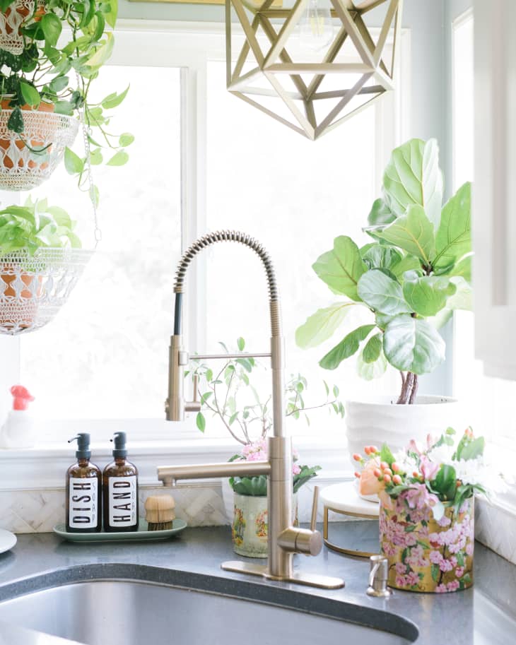 Deruta Italian Dish Soap Review | The Kitchn