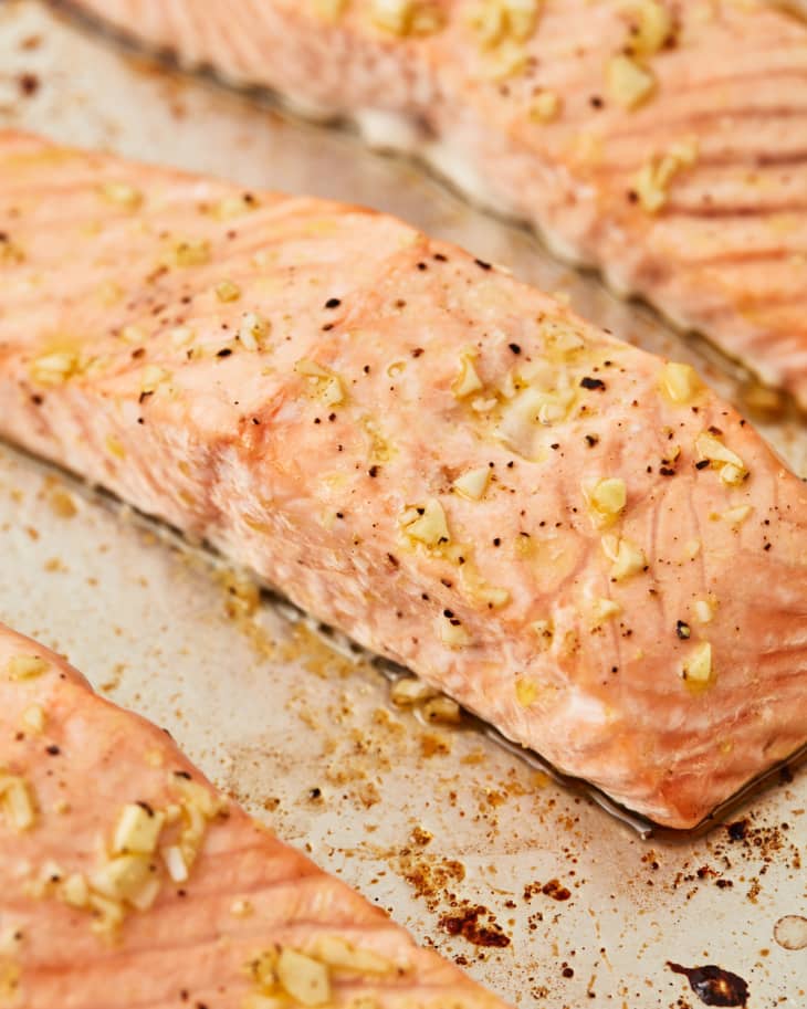 This Ultimate Salmon Tuna Melt Will Take Your Tastebuds on a Cheesy ...