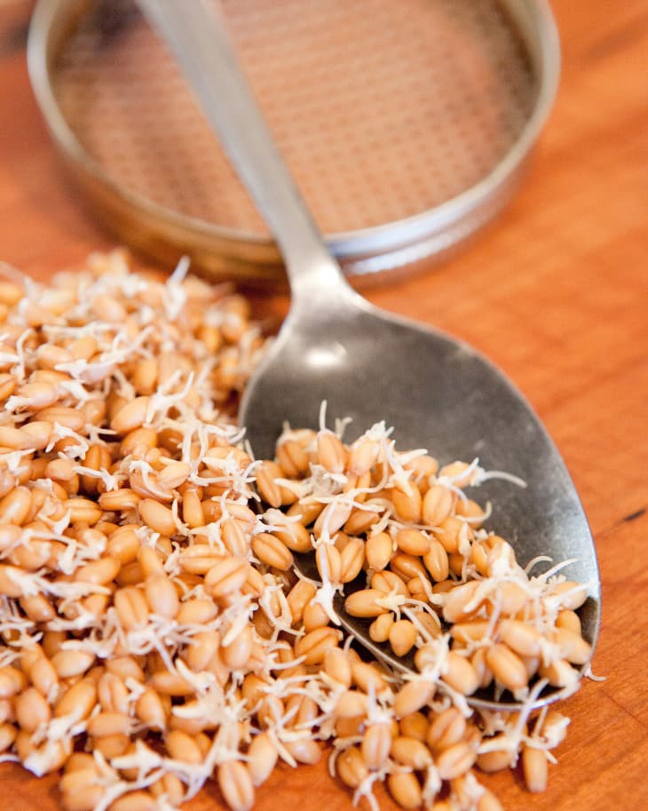 3 Things You Probably Didn’t Know About Sprouted Flour | The Kitchn