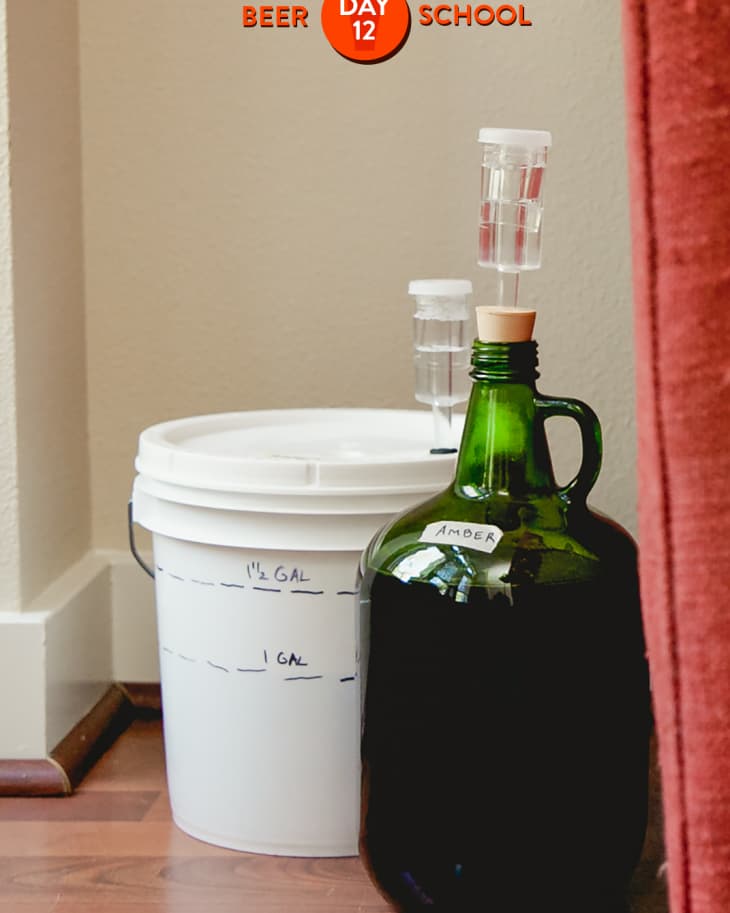 Where to Store Your Homebrew While It’s Fermenting | The Kitchn