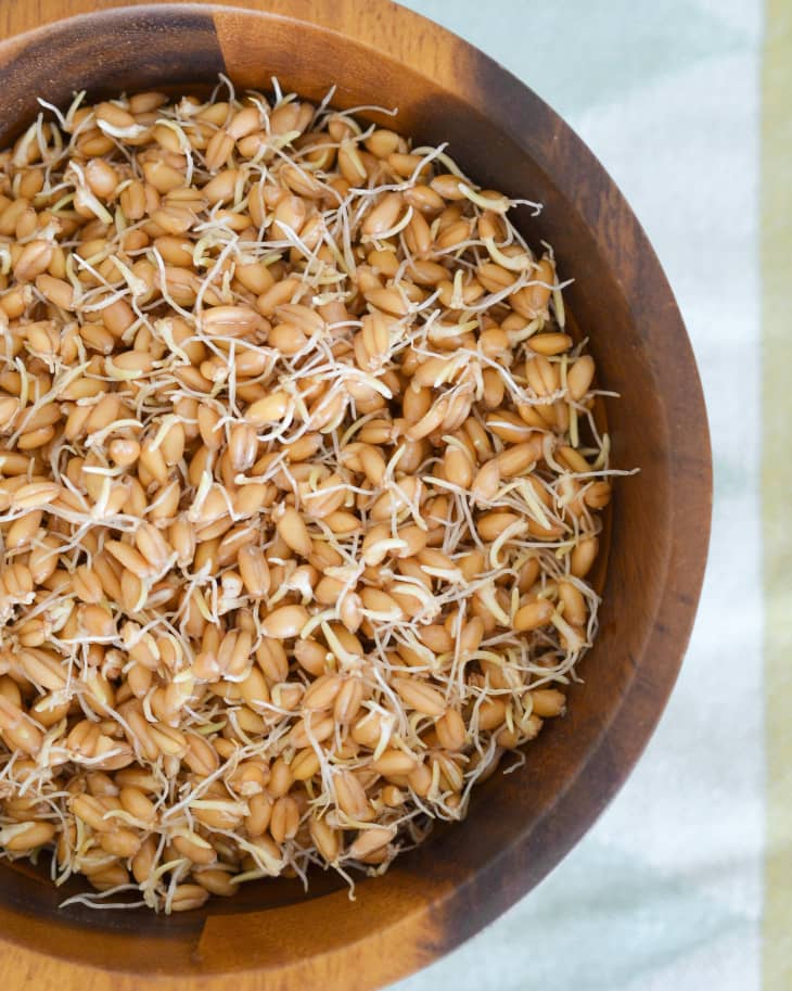 Sprouted Grains Recipe (Easy and Simple) | The Kitchn