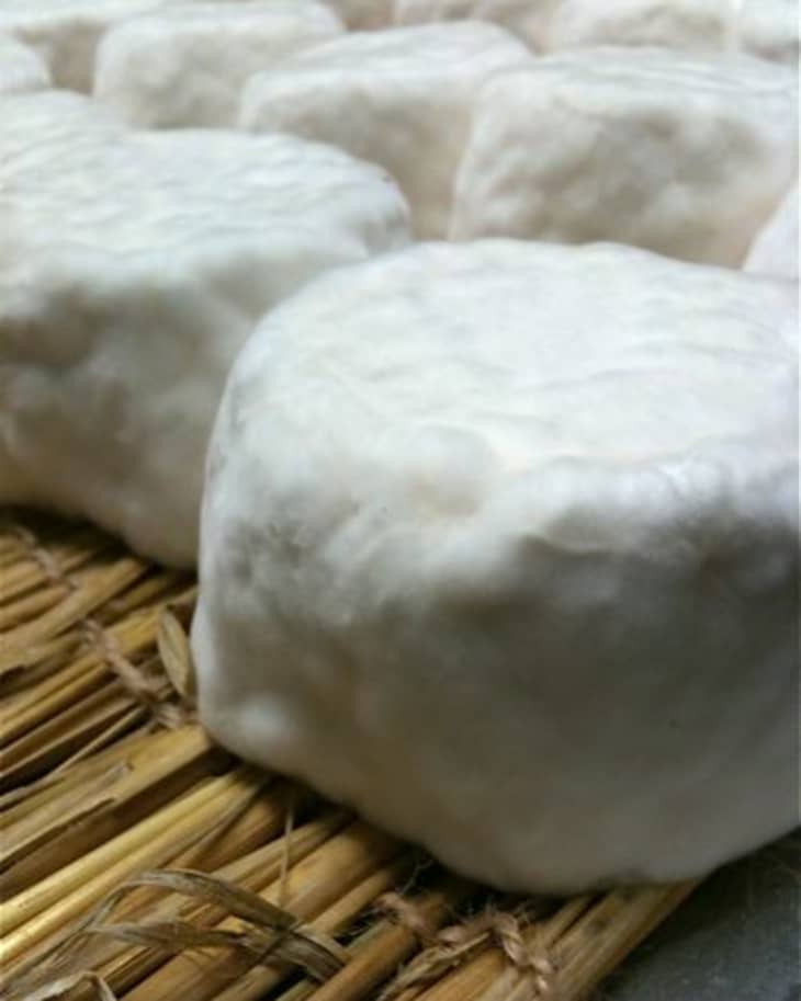 This Mold’s Fur Real: Cheese Mold in Bloom | The Kitchn