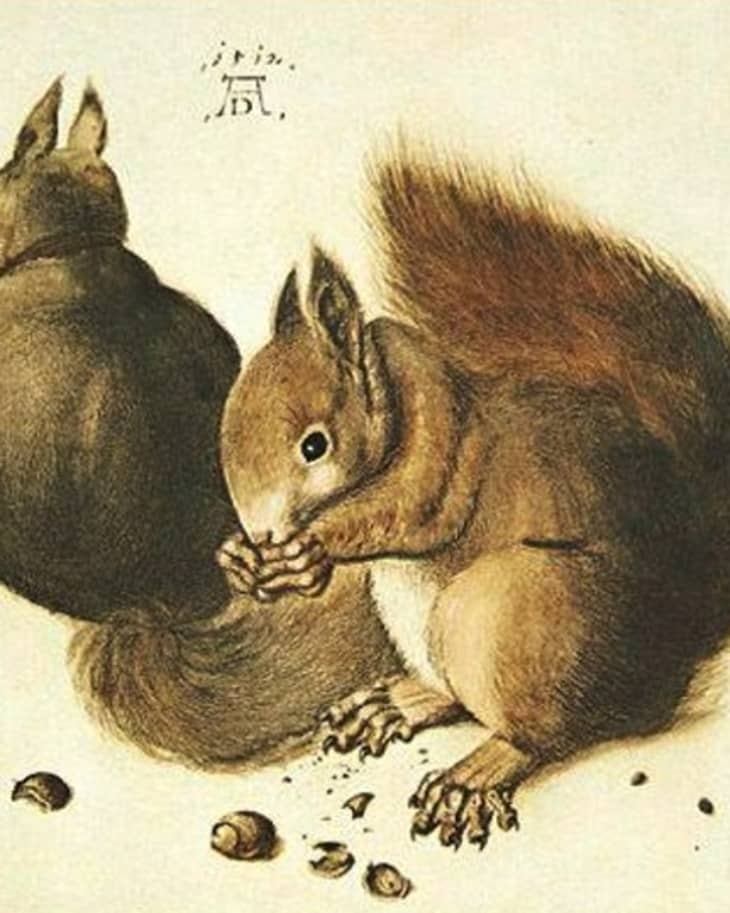 Weekend Meditation: Squirrel Time | The Kitchn