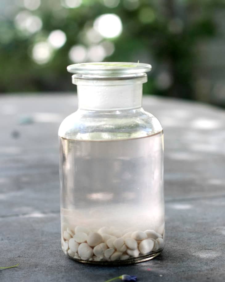 Yes or Noyaux? Using Stone Fruit Kernels in the Kitchen | The Kitchn