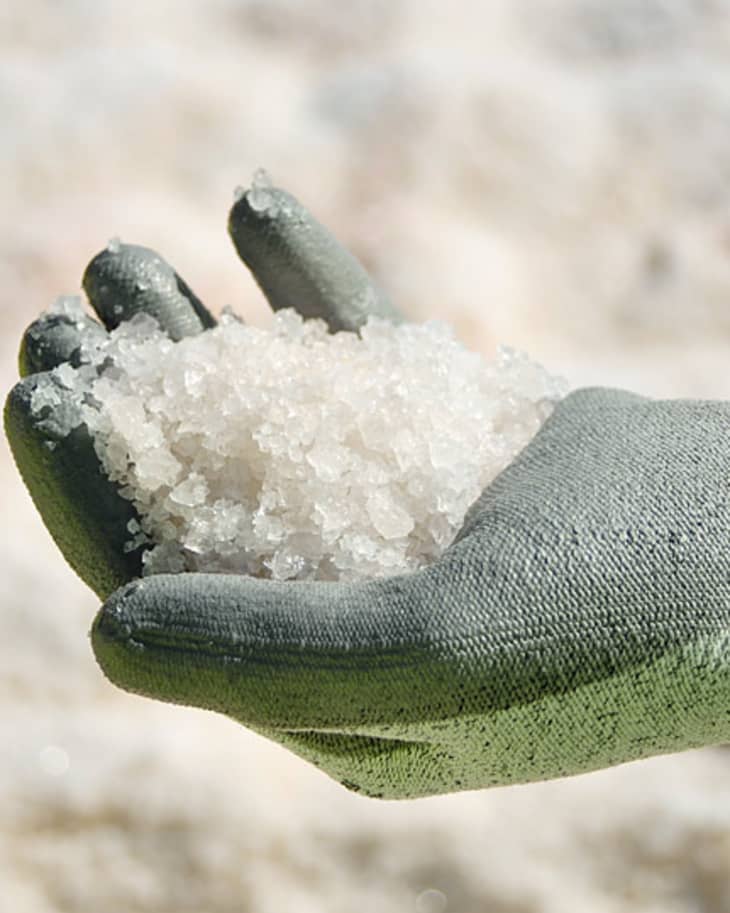 From Ocean to Box: How Sea Salt Is Harvested | The Kitchn