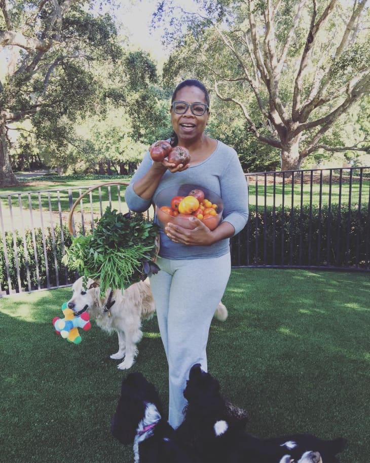 Oprah’s New Favorite Snack Is a Food Court Classic | The Kitchn