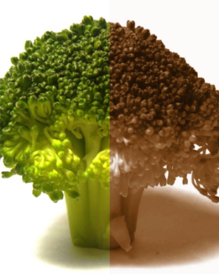 Food Science: Why Blanched Vegetables (Sometimes) Turn Brown | The Kitchn