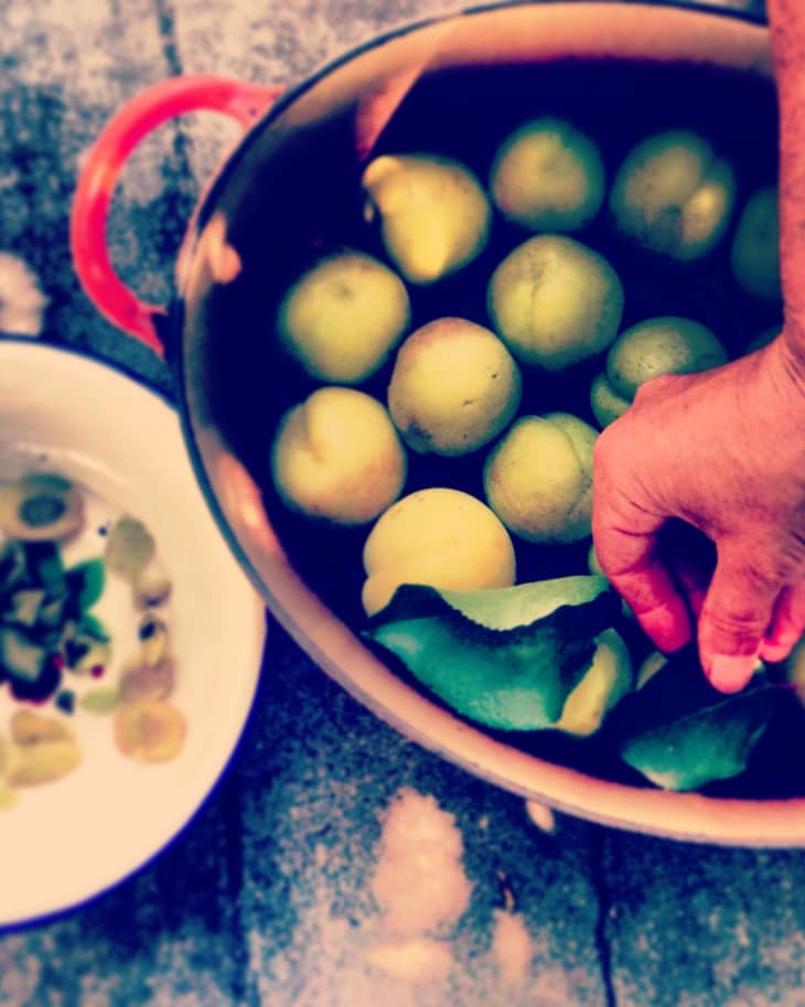 Cooking with Heart | The Kitchn