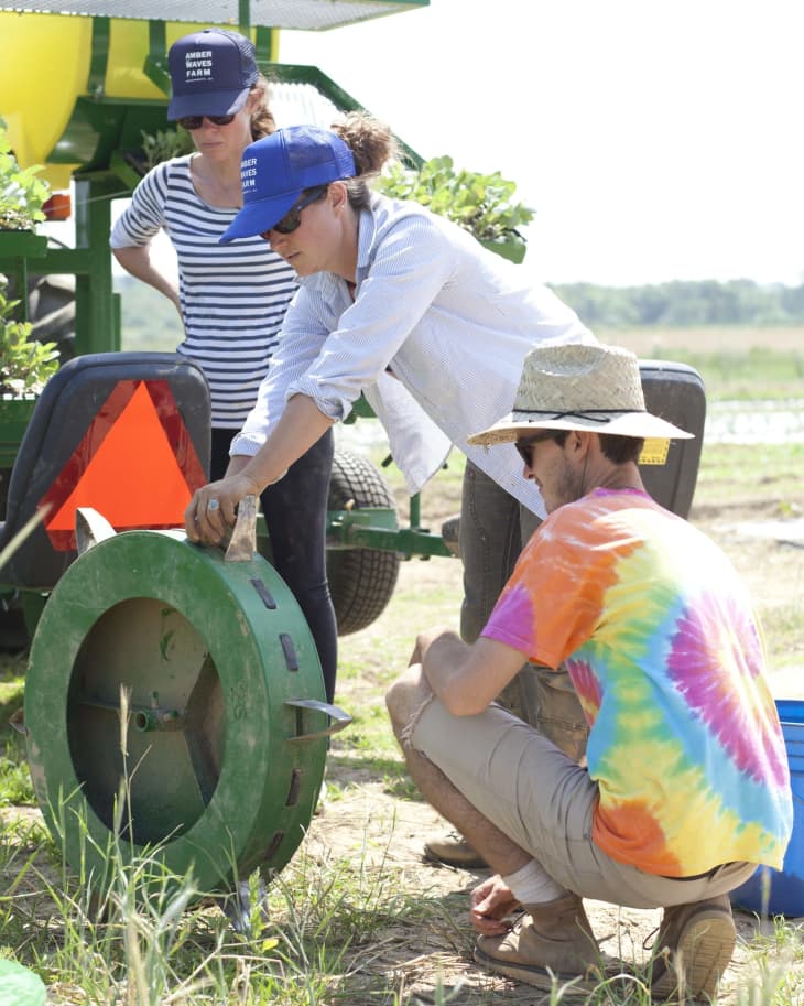A Day in the Life of a Farm | The Kitchn