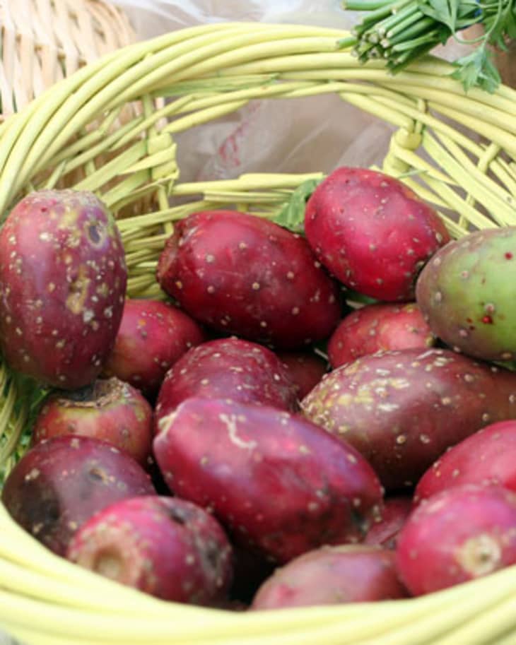 Prickly Pear Fruit