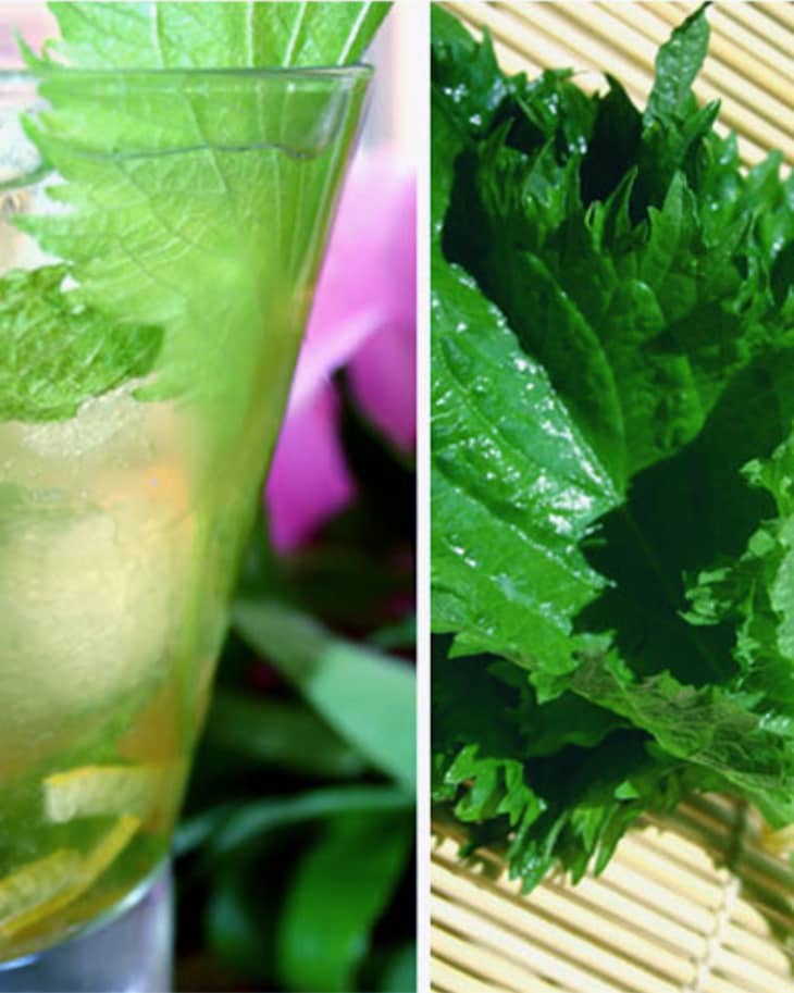 Straight Up: Using Shiso in Cocktails (Mojitos and More) | The Kitchn