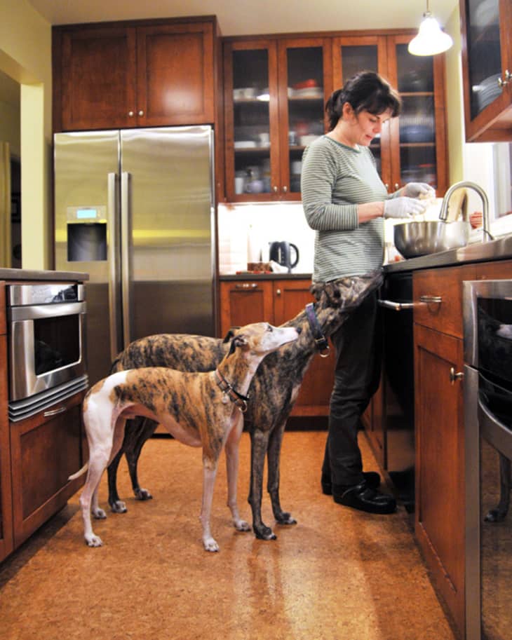 15 Adorable Pets Who Make Their Kitchen a Happier Place | The Kitchn