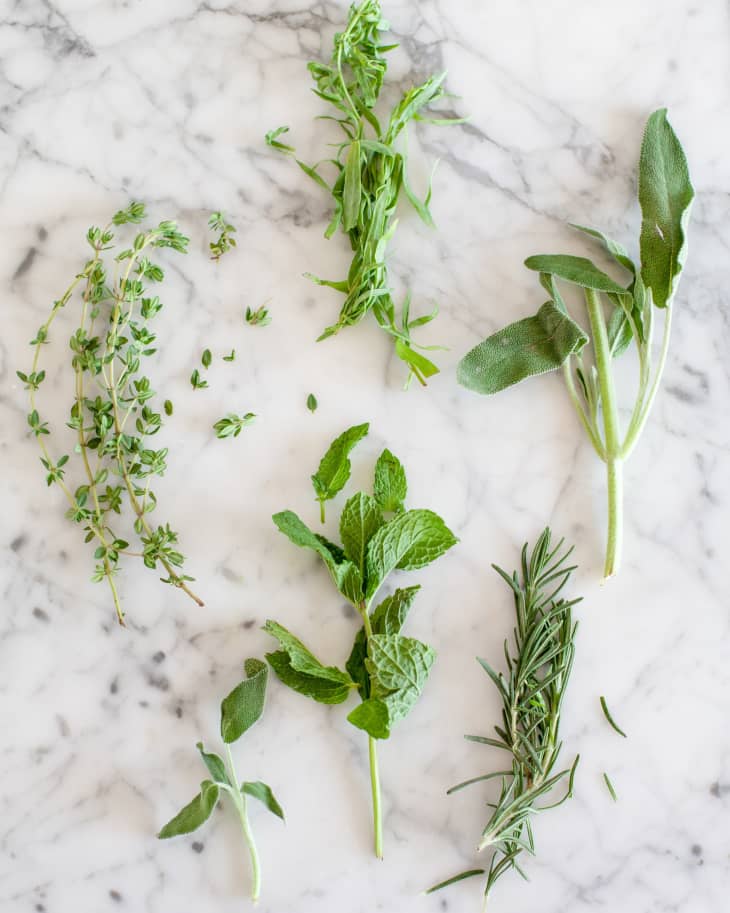 How To Strip Herbs off Their Stems | The Kitchn
