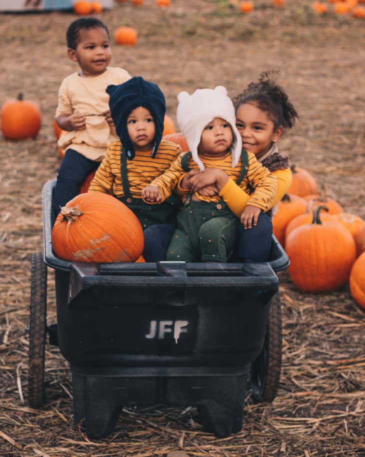 15 of the Best Pumpkin Farms in New York — Best Pumpkin Farms 2022 ...