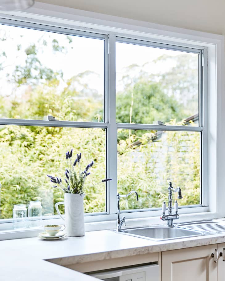 The Best Ways to Keep Pests Out of Your Kitchen | The Kitchn