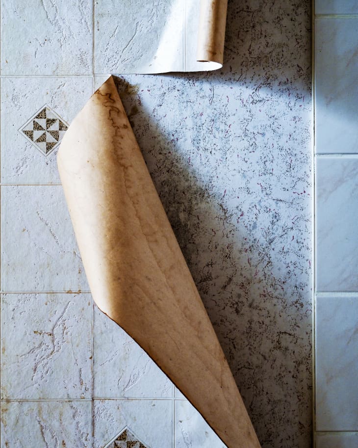 7 Signs There's Mold In Your Kitchen (And How to Get Rid of It) | The ...