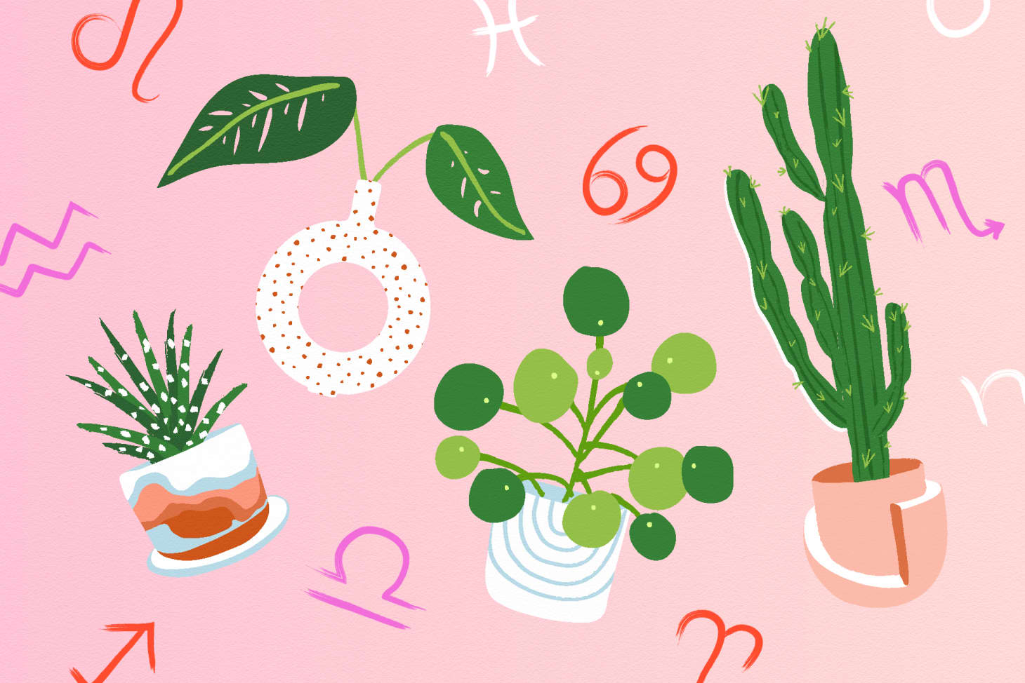 Zodiac signs and their plants 60 photos - Astrologytoyou.com