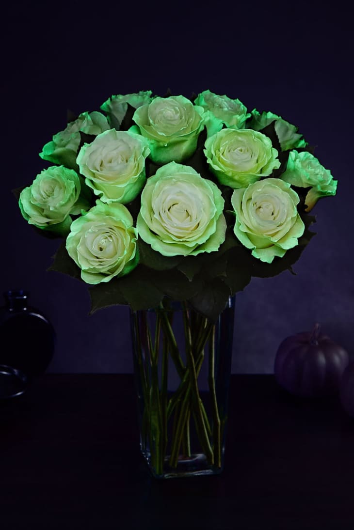 You Can Order Glow In the Dark Roses for Halloween | Apartment Therapy