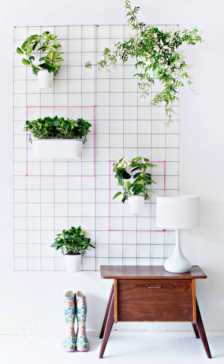 6 Ways to Create a Plant Wall In a Rental | Apartment Therapy