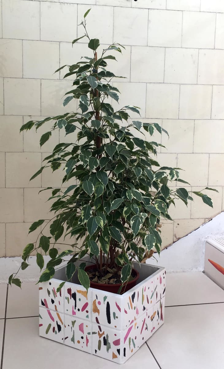 How to Build a Tiled DIY Planter Box | Apartment Therapy