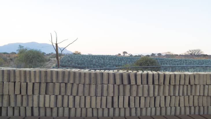Kendall Jenner’s 818 Tequila Bricks Program Is Helping to Build Up ...