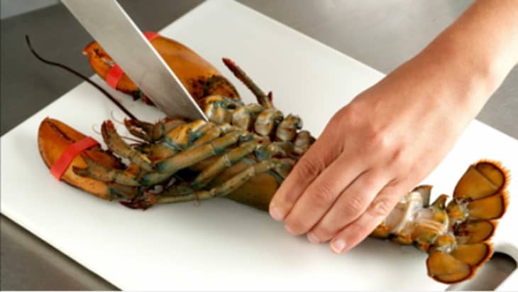 How to Kill a Lobster (Humanely)Fine Cooking | The Kitchn