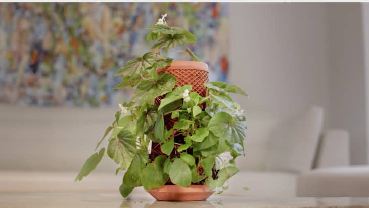 TerraPlanter Hydroponic planter | Apartment Therapy