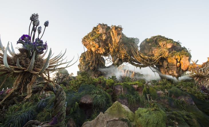 7 Plants for Your Garden Inspired by Disney’s New Avatar Park ...